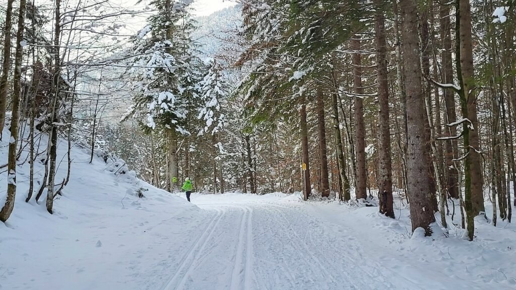 Langlauf am Tegernsee: Die schönsten Loipen im Tegernseer Tal